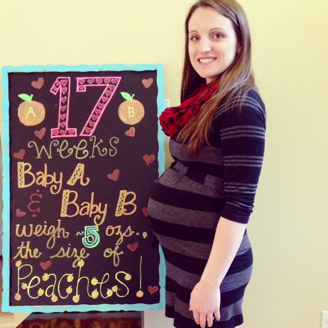 2nd Trimester Twin Belly Bumps– Pre-Reveal – christianson6